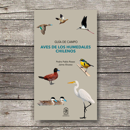 AVES DE LOS HUMEDALES CHILENOS (GUIA DE CAMPO) | LA TIENDA NACIONAL